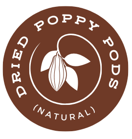 peony poppy seeds - Dried Poppy Pods