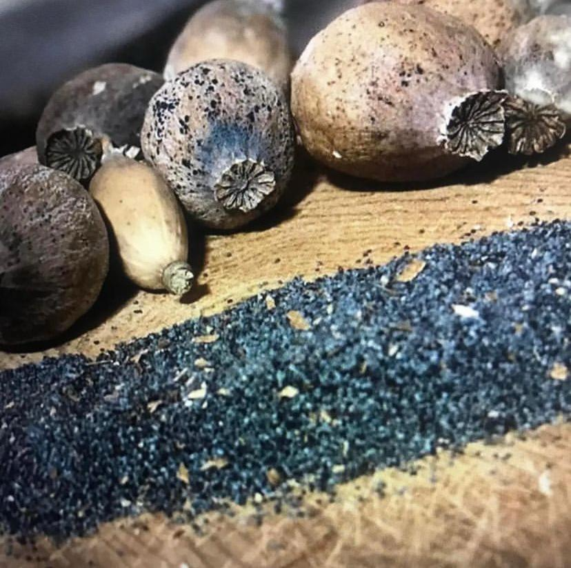 poppy pods seeds - Dried Poppy Pods